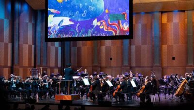 About Wild Symphony - Wild Symphony