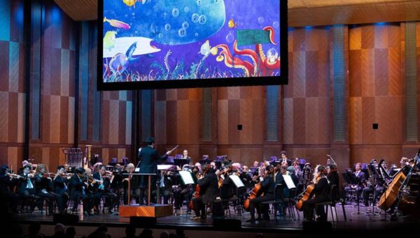 About Wild Symphony - Wild Symphony